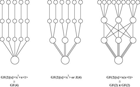 The Forms Of The Trees Representing The Projective Lines Defined Over Download Scientific