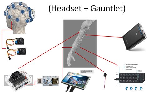 linux gui error openbci gui java bin java not found — openbci forum