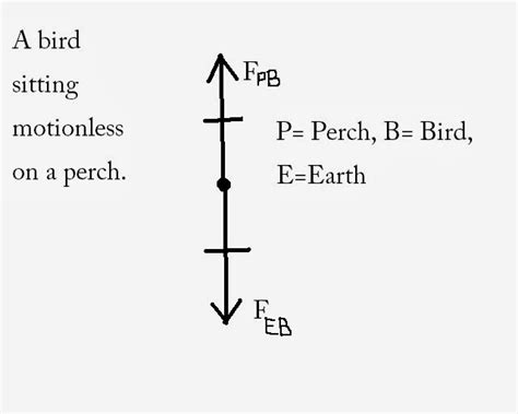 The World Of Physics Force Diagrams