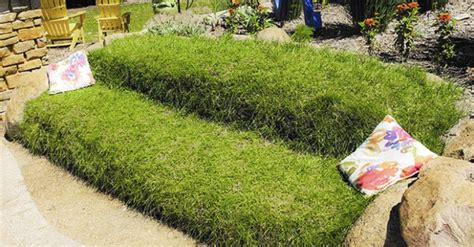 Grass Sofa Inhabitat Green Design Innovation Architecture Green Building