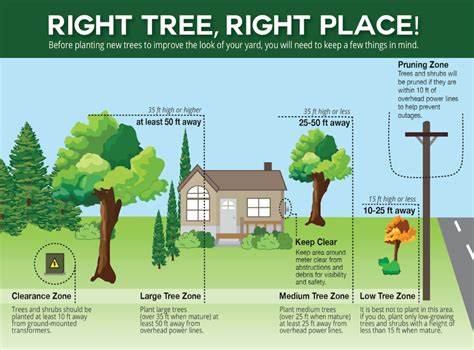 Sdgande Tree Planting Program Fire Safe Council Of San Diego County