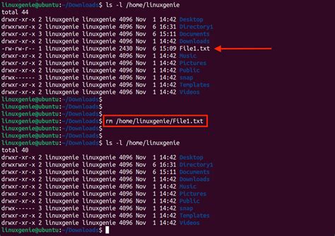 How To Delete A File In Linux Ubuntu Terminal Linux Genie