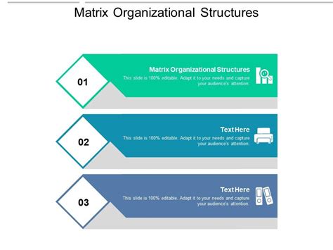 Matrix Organizational Structures Ppt Powerpoint Presentation Styles Themes Cpb Presentation
