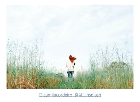 코칭 회피 인생단어사전 마음챙김 질문