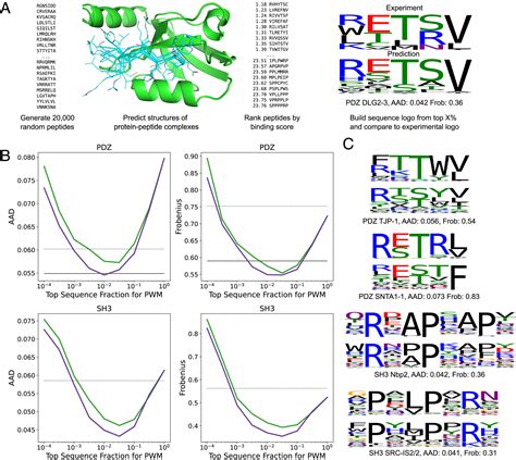 What Is Protein Structure Prediction At Jeanette Taylor Blog