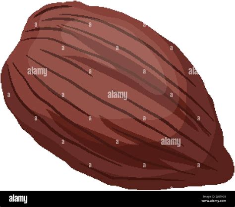 Cocoa Bean Cartoon Vector Stock Vector Image And Art Alamy