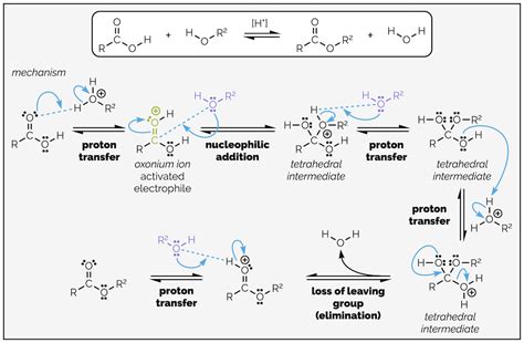 Nucleophilic Acyl Substitution — Making Molecules