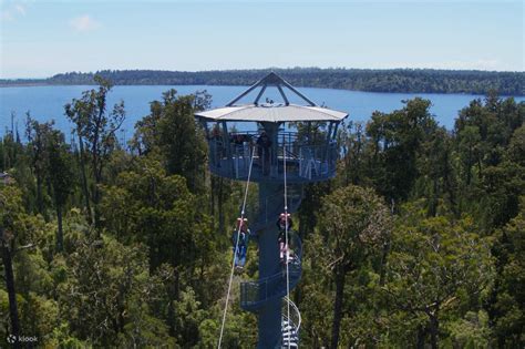 West Coast Tree Top Tower Zipline Walkway In Hokitika Klook Singapore