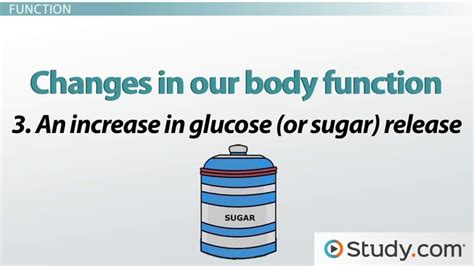 Norepinephrine Neurotransmitter Function