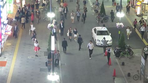 Human Object Detection Model By Like