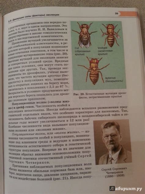 Книга Биология Биологические системы и процессы 11 класс Учебник Углубленный уровень ФГОС