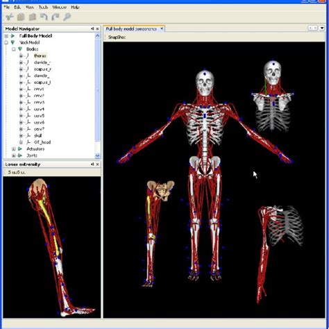 Pdf Opensim Open Source Software To Create And Analyze Dynamic Simulations Of Movement