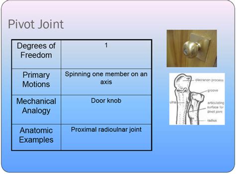 Mechanical Pivot Joint Examples