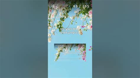 감사일기 810일 오랜만에 항상 함께하지만 신경써주지 못했던 것들을 케어할 수 있는 여유가 생겨 감사합니다감사일기 매일 감사영상 감사