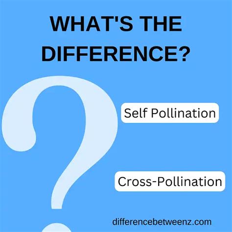Difference Between Self And Cross Pollination Difference Betweenz