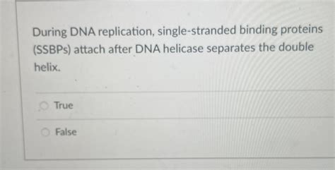 Solved During DNA Replication Single Stranded Binding Chegg Com