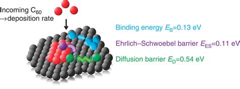 Surface Processes In C60 Growth The Diffusion Barrier ED Binding Download Scientific Diagram