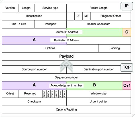 TCP IP Packet Observed By Darknet Download Scientific Diagram