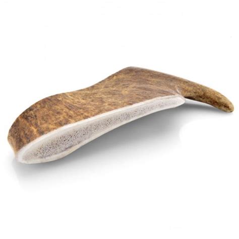 Bois De Daim Pour Les Chiens Dog Control
