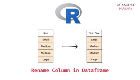 Rename Column Name In R Dataframe Data Science Parichay