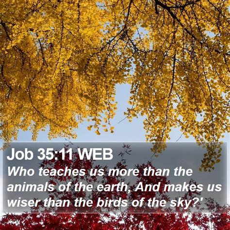 Job 35 11 Web Scriptures Images
