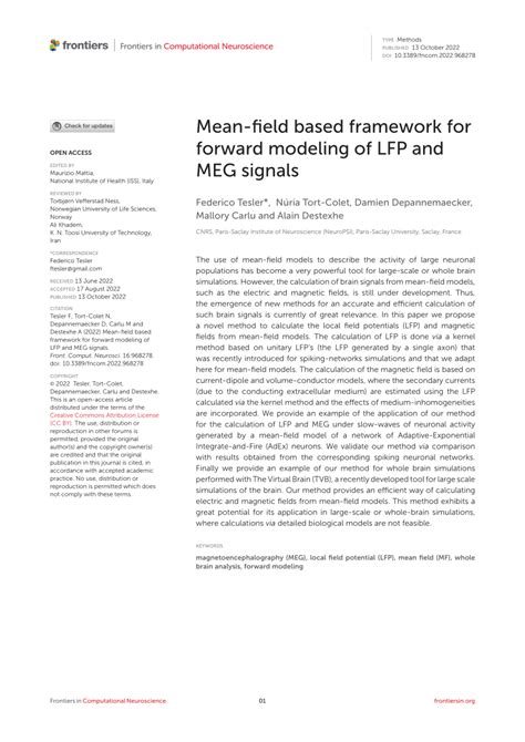 Pdf Mean Field Based Framework For Forward Modeling Of Lfp And Meg