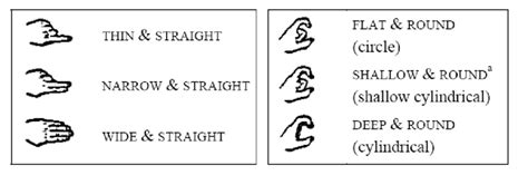 Sass Classifiers In Asl Derived From Supalla 1982 As Cited In Sandler