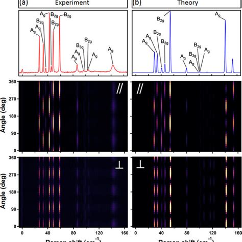 A Experimental And B Theoretically Calculated Angular Dependence Of Download Scientific