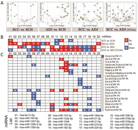 Overview Of The Differential Mirna Expression Analysis A Volcano