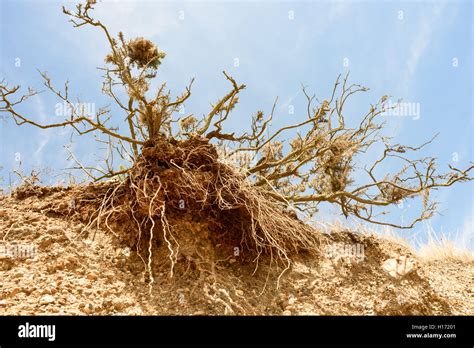 Drainage Erosion Hi Res Stock Photography And Images Alamy