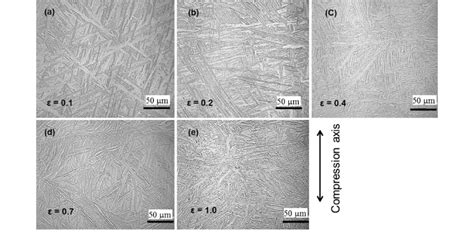 Optical Micrographs Of Medium Alpha Lath Of Ti 6al 4v Deformed With Download High Quality