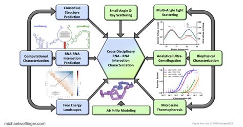 Rnarna Interaction Analysis Of Japanese Encephalitis Virus