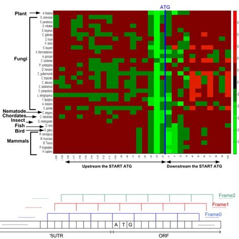 Ab The Position Specific Scoring Matrix Pssm Describing The Download Scientific Diagram