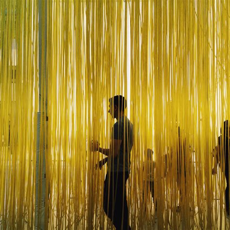 무료 이미지 햇빛 아침 꽃 반사 수확고 가을 노랑 농업 대나무 잔디 가족 종범 2448x2448 12791 무료 이미지 Pxhere