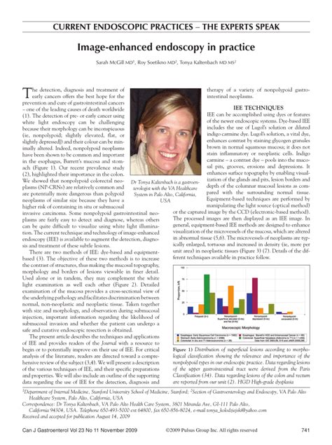 Pdf Image Enhanced Endoscopy In Practice