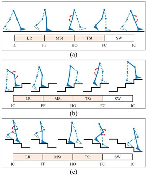 inertial measurement unit based real time adaptive algorithm for human
