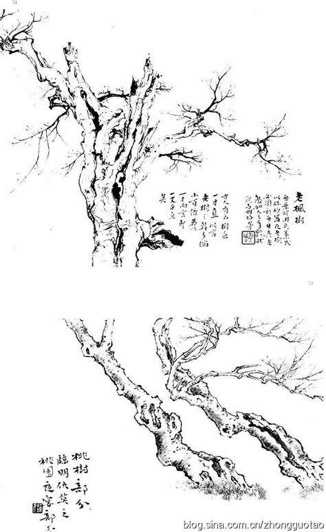 中國畫 初學山水的學習資料畫樹課徒稿分享 每日頭條