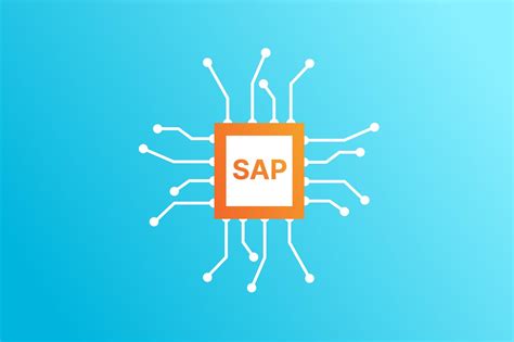 from novice to an sap development pro building a strong foundation