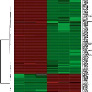 A Hierarchically Clustered Heat Map Of The Relative Abundances Of