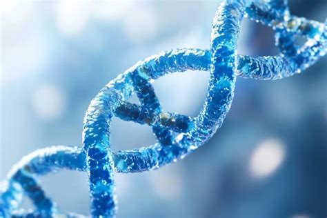 Symphony Of Synapses The Brains Intricate Dance With Music Neuroscience News