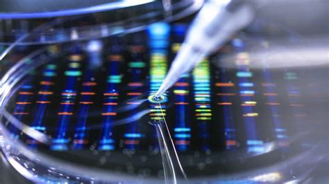 Fact Check It S Claimed That Women Retain DNA From Every Man They Ve Slept With Let S Check