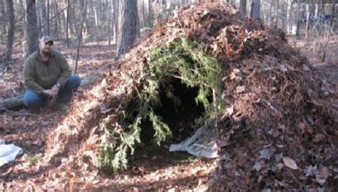 The Genius “spider Shelter” That Survivalists Favor For Bugging Out Die Hard Survivor