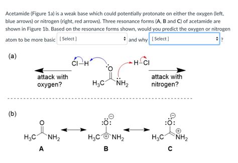 Solved Acetamide Figure 1a Is A Weak Base Which Could