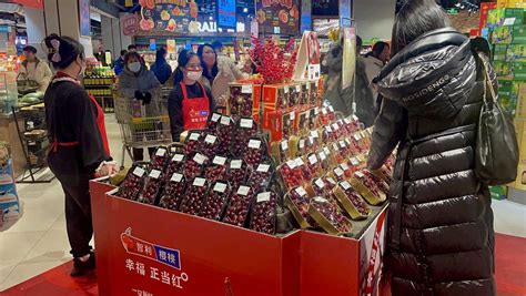 智利车厘子对华出口创新高 智利代表团开启城市巡回活动 亚洲水果