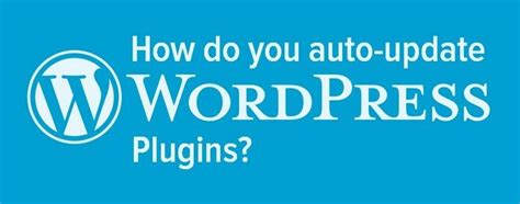 How Do You Auto Update Wordpress Plugins Should You Auto Enable