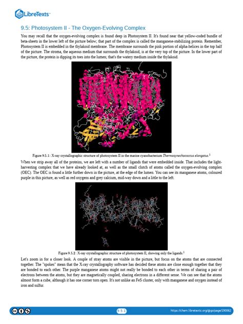 9 05 Photosystem Ii The Oxygen Evolving Complex Pdf Redox Hydroxide