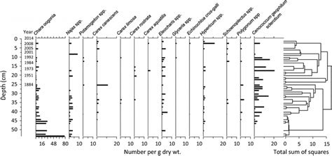 Abundance Of Plant Macrofossils From Jon 6 As Number Per G Dry Weight Download Scientific