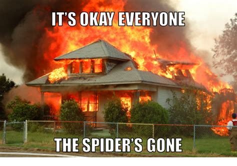 Spider Meme Burn House