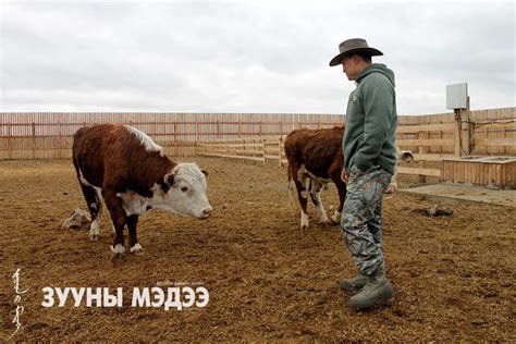 Т Энхбаяр Эрчимжсэн мал аж ахуйг хөгжүүлэхэд бодит дэмжлэг хэрэгтэй байна