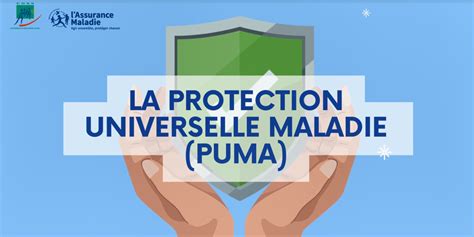Actualisation Des Droits Informations Importantes De Lassurance